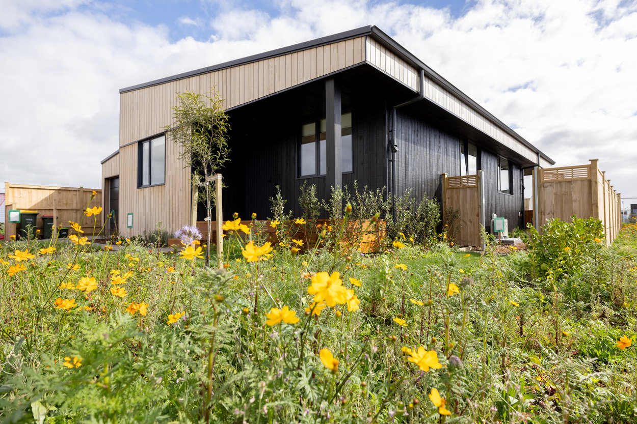 Home [nzgbc.org.nz]