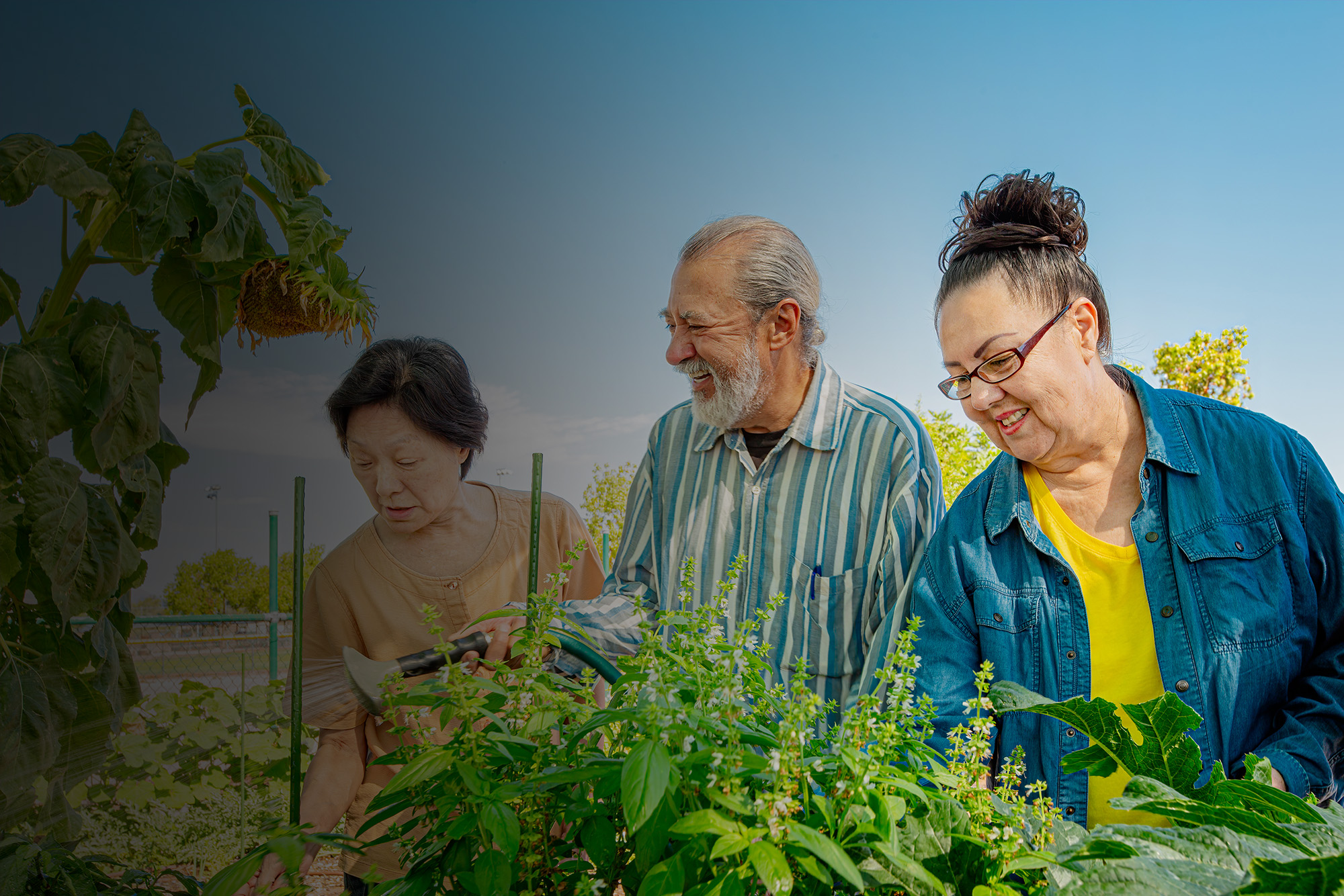 Creating sustainable retirement villages with Green Star Communities