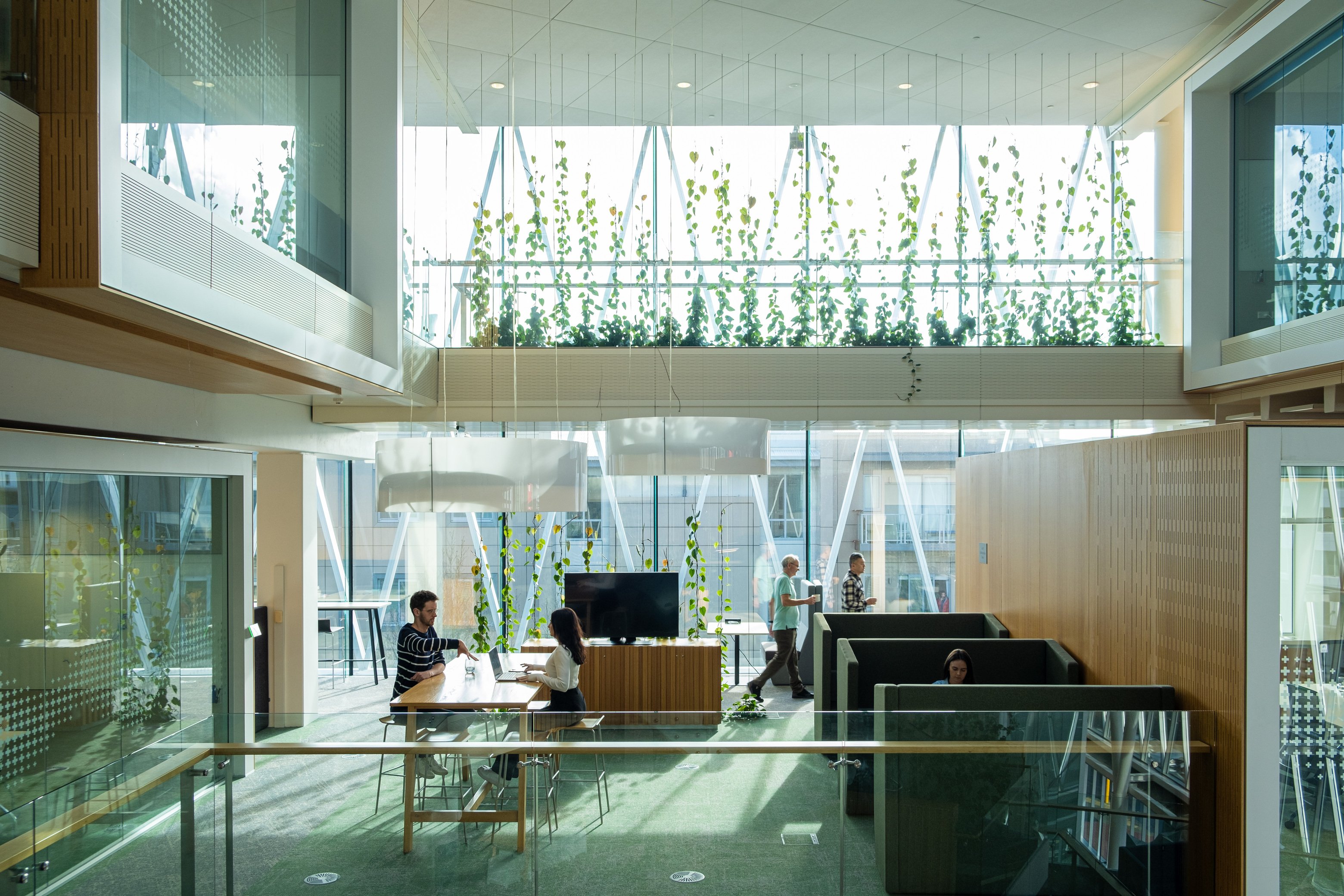 Introduction to Green Star