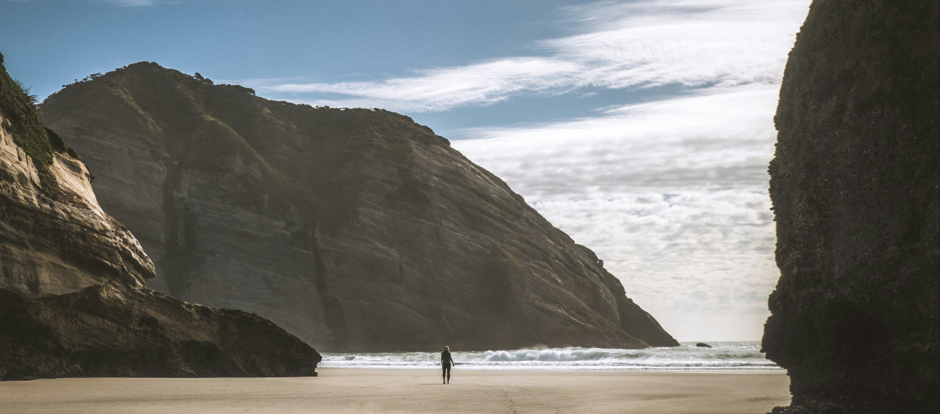 CEO update: Making 2025 count for Aotearoa’s built environment